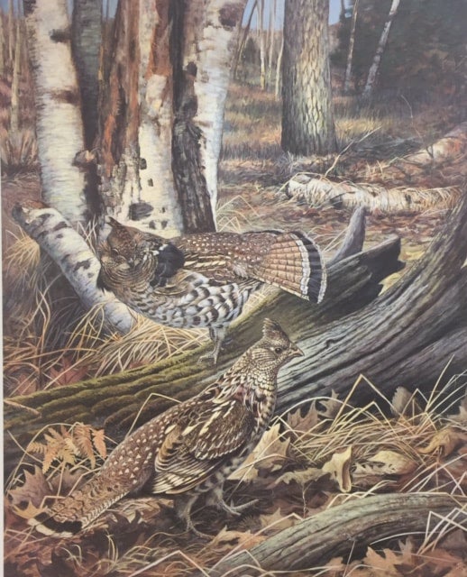 Jim Foote Prints | Zollars Fine Art