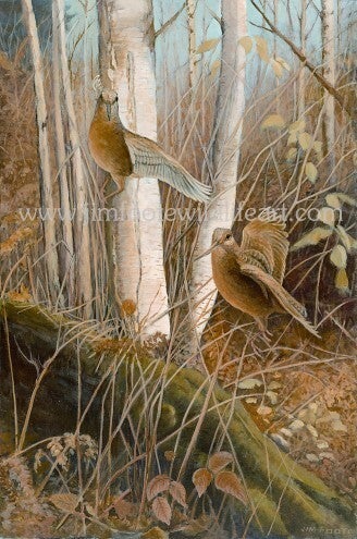 "October Surprise" by Jim Foote | Zollars Fine Art